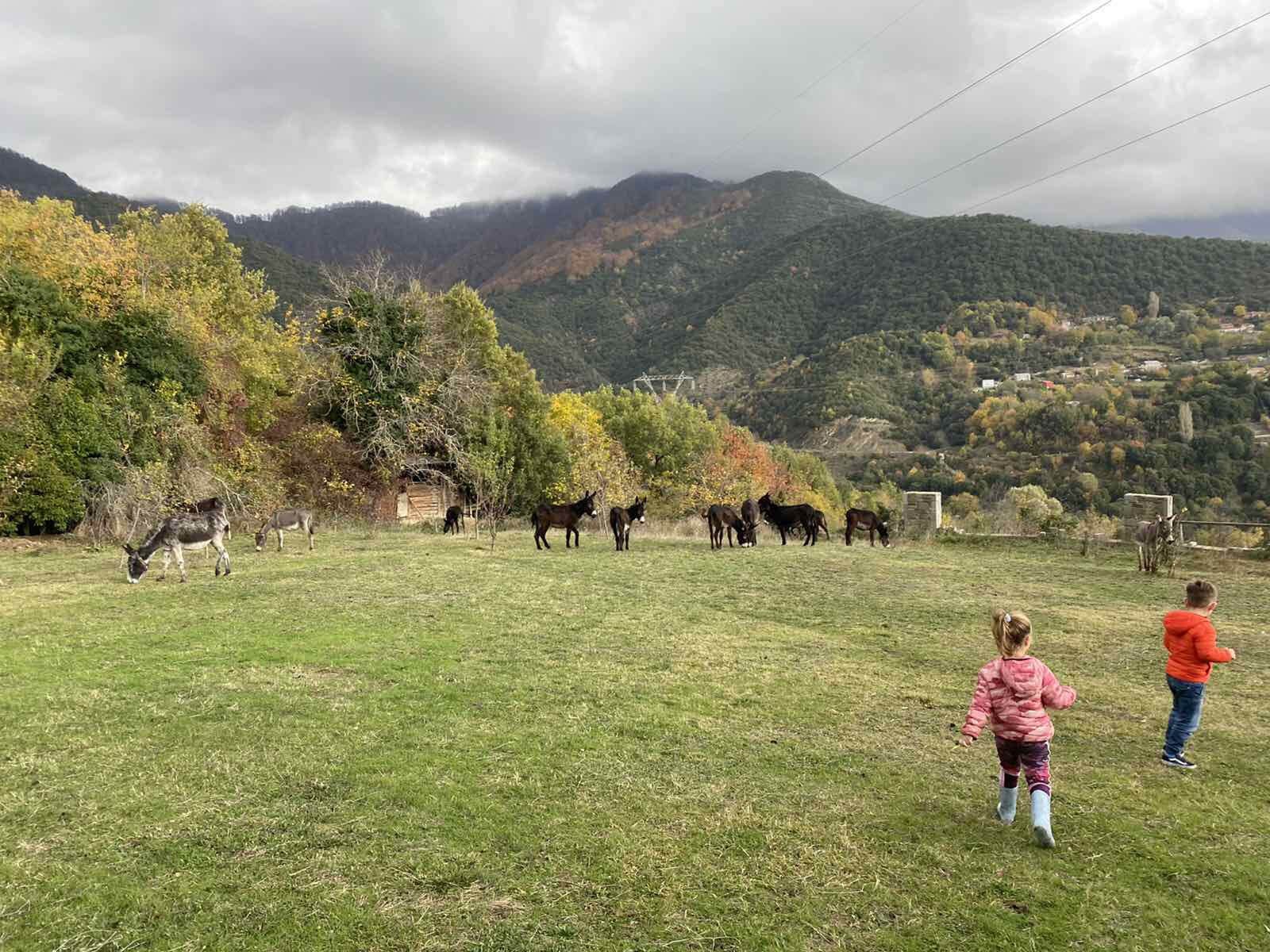 ΜΟΝΟΗΜΕΡΗ ΕΚΔΡΟΜΗ ΣΤΗΝ ΧΡΥΣΟΒΙΤΣΑ –ΜΕΤΣΟΒΟ-ΑΝΘΟΧΩΡΙ - ΝΟΕ/22 - «ό,τι ...